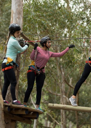 Westport Adventure - Outdoor Adventure Park at Westport Estate